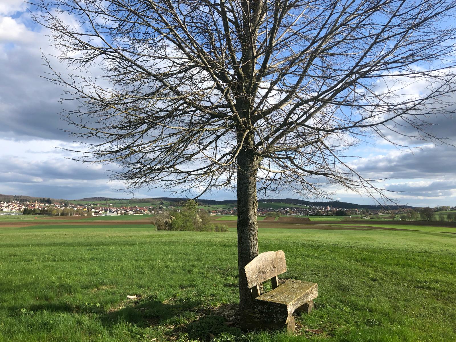Offene Grüne Liste Engstingen – Gemeindeentwicklung Engstingen